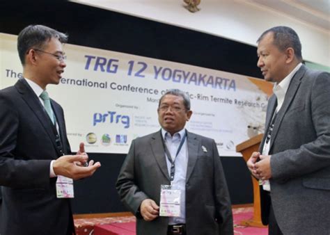 Kerugian Akibat Rayap Ditaksir Capai Triliunan Rupiah Riztra