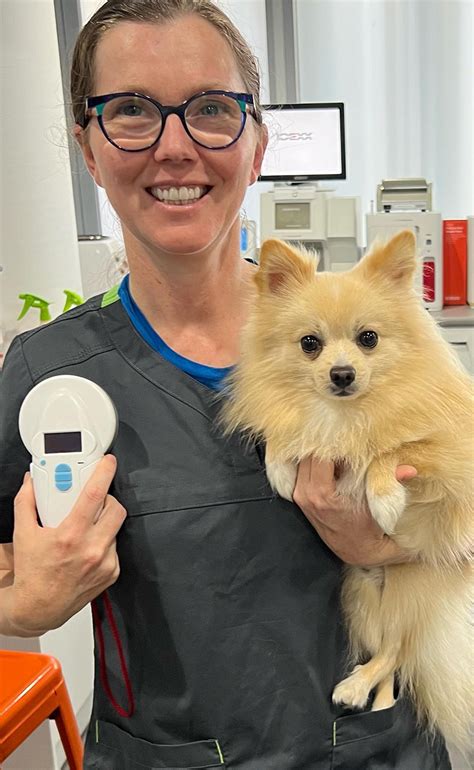 Vet Surgery Potts Point Veterinary Hospital