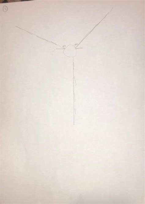 Solved Experiment 1 Translational Equilibrium Of A Point