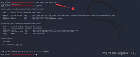 Windows Server服务 RPC 缓冲区远程溢出漏洞ms08 067复现 windows溢出漏洞复现 CSDN博客