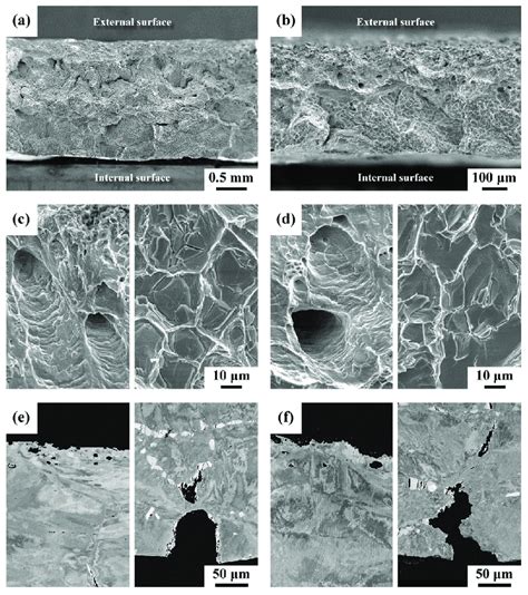 Sem Micrographs Showing The Tensile Fracture Morphology And