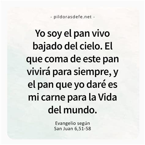 Evangelio De Hoy Domingo Lecturas De Hoy 11 De Junio 2023