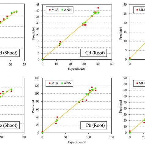 Design Of The Artificial Neural Network Depicting Different Neurons And Download Scientific