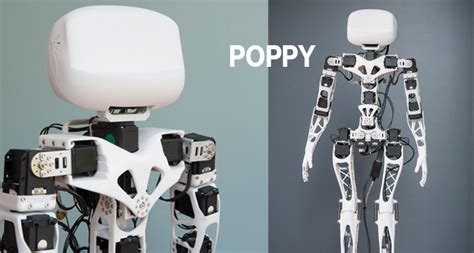 Naissance De Poppy Le Robot La Casemate