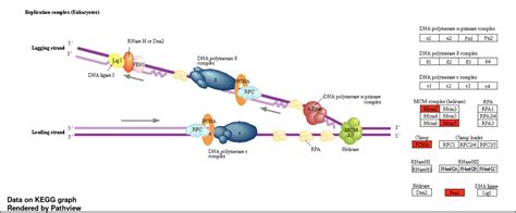 RNAseq Based Differential Gene Expression Analysis Of Abemaciclib And