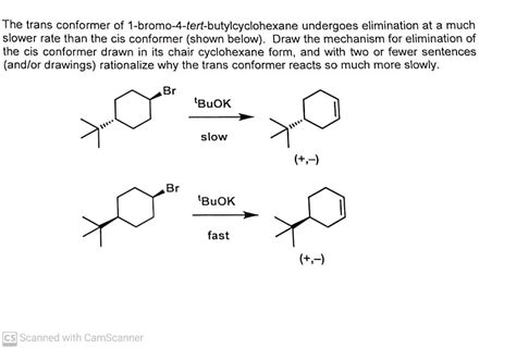 Solved The Trans Conformer Of Chegg