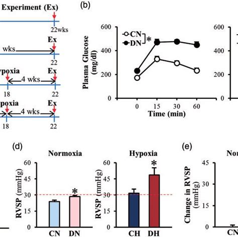 Inducible T2d Mice Exhibit Higher Levels Of Rvsp Than Control Mice