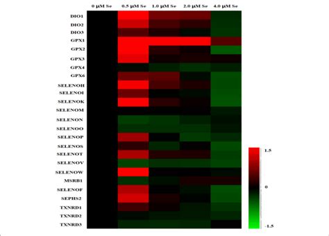 Heat Map Of The Effects Of Selenomethionine Se Met Supplementation