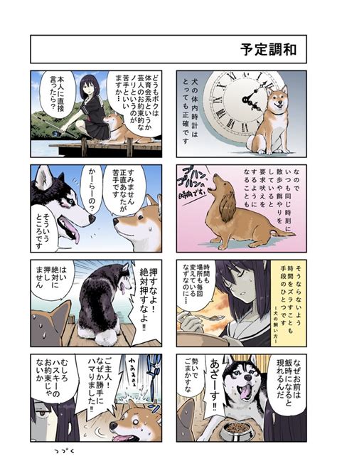 世界の終わりに柴犬と 柴犬 4コマ漫画 世界の終わりに柴犬と 旅する話 95 」石原 雄の漫画