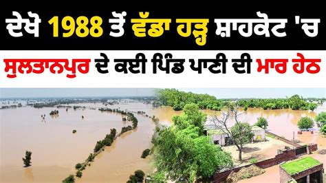 ਦੇਖੋ 1988 ਤੋਂ ਵੱਡਾ ਹੜ੍ਹ ਸ਼ਾਹਕੋਟ ਚ ਸੁਲਤਾਨਪੁਰ ਦੇ ਕਈ ਪਿੰਡ ਪਾਣੀ ਦੀ ਮਾਰ ਹੇਠ