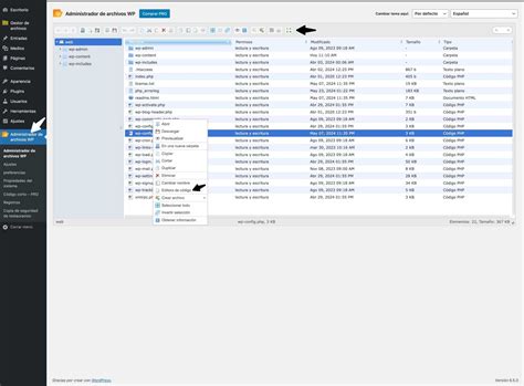 Acceder Y Modificar El Archivo Wp Config Directamente Desde El Panel De Administración De Wordpress