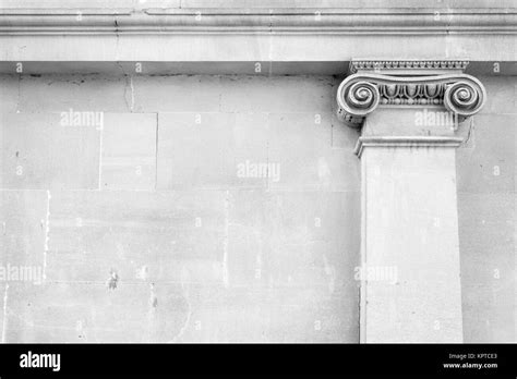 the ionic order forms classical architecture background with white