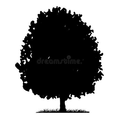 Tree And Grass Silhouette Stock Vector Illustration Of Outline 60508848