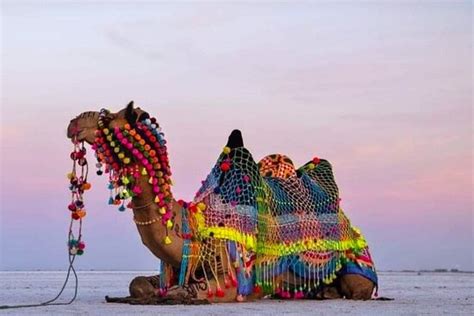 Jagdamba Tour And Travels Jodhpur Tripadvisor