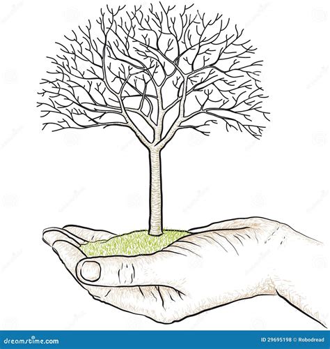 Hand Holding A Tree Stock Vector Illustration Of Concept 29695198