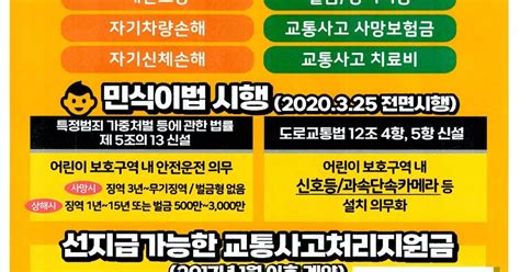 자동차보험 이하진 숨고 숨은고수