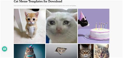 Meow Cant Miss Those Cat Meme Template To Show Yourself