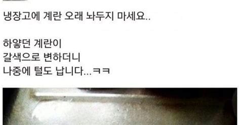 냉장고에 계란 오래 놔두지 마세요