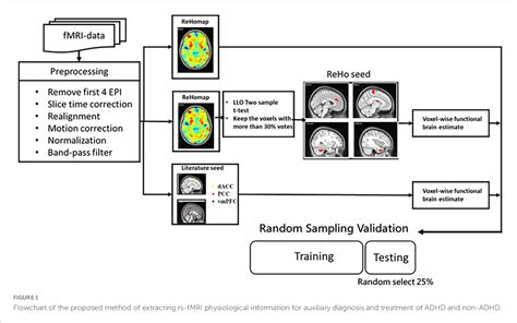 Figure 1 From Seed Correlation Analysis Based On Brain Region