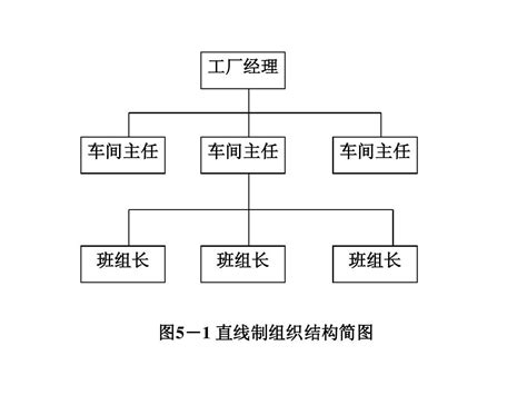 第三节 组织结构类型word文档在线阅读与下载免费文档 第三节 组织结构类型word文档在线阅读与下载免费文档