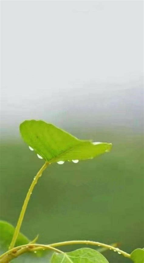 Pin Von 芳妃 郭 Auf 1 10月31日 … 熱門貼圖 集錦