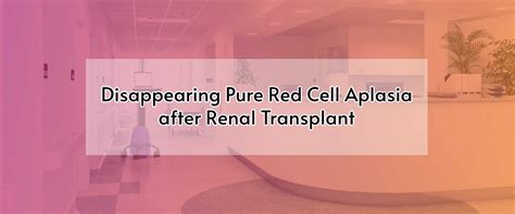 Disappearing Pure Red Cell Aplasia After Renal Transplant