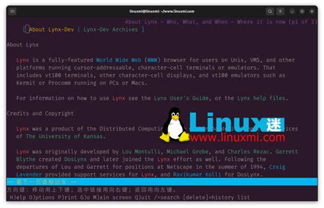 奇技淫巧：在 Linux 终端中使用图形化 Web 浏览器页面运行docker