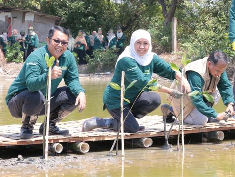 Gubernur Khofifah Nandur Mangrove Bersama BPS Jatim Jatimpedia