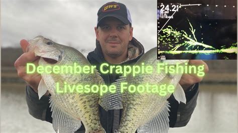 December Fishing Livescope Footage Hd 1080p Youtube