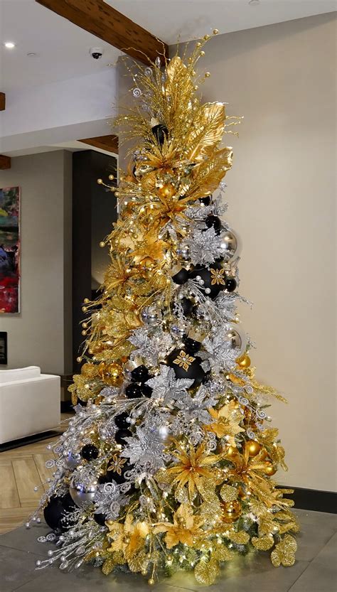 Collections Johan Nova