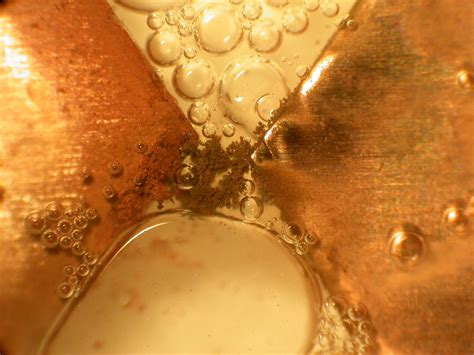 Nasa Goddard Metal Dendrites