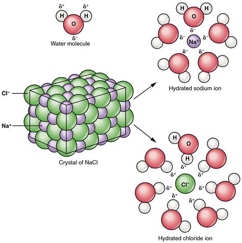 Evaporation Why Is Water Evaporated From The Ocean Not Salty