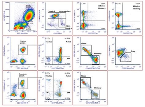 6 Steps For Success With Multicolor Flow Cytometry Bio Rad