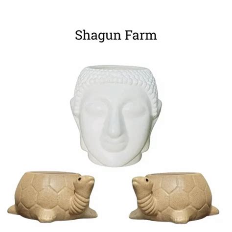Turtle Shaped Ceramic Pots At ₹ 900set सिरेमिक का गमला In Agra Id
