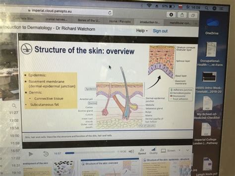 Introduction To Dermatology Flashcards Quizlet