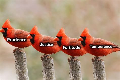 Im Assembling A Team R Catholicmemes