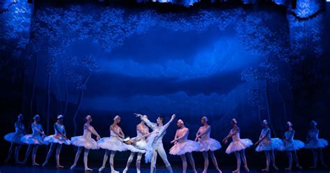 Swan Lake The Victorian Ballet Barrington Coast