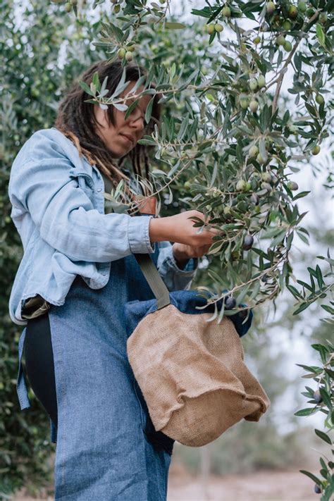 Mariana Grilli No Linkedin Dos Inúmeros Prazeres Da Profissão Viajar Comer E Aprender Dessa Vez