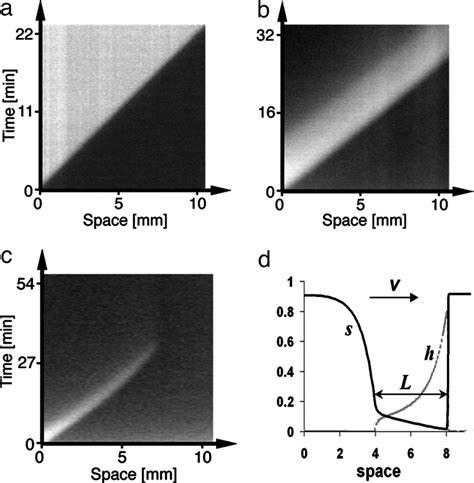 Spatiotemporal Behavior Of Fronts And Pulses In A Cfur A C