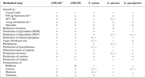 Staphylococcus Succinus Semantic Scholar