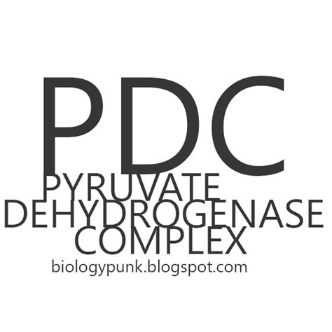 Punk Biology Student Blog Pyruvate Dehydrogenase Complex Pdc
