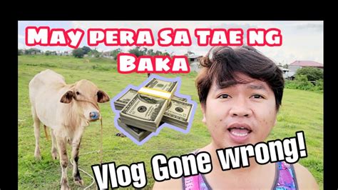 May Pera Sa Tae Ng Baka Vlog Gone Wrong Youtube