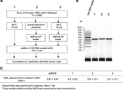 Figure 1 From Concise Analysis Of Single Stranded Dna Of Recombinant Adeno Associated Virus By