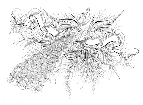 16 Calligraphy Bird Images Pen Flourished The Graphics Fairy