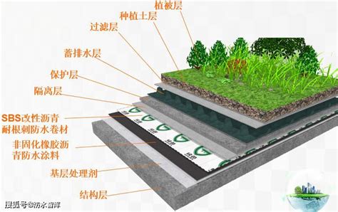 种植屋面系统结构图和案例展示 搜狐大视野 搜狐新闻
