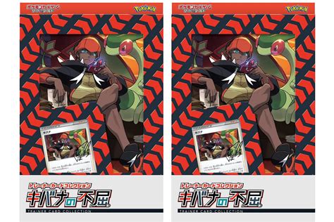 Pokémon Tcg Sword And Shield Trainer Collection Raihans Indomitableness