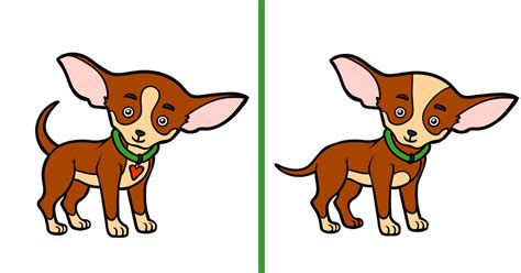 Encontrarás las 5 diferencias entre los chihuahuas Solo un GENIO