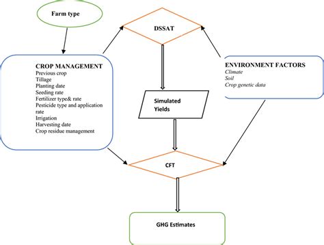 a conceptual flow diagram of the biophysical modelling approach used to
