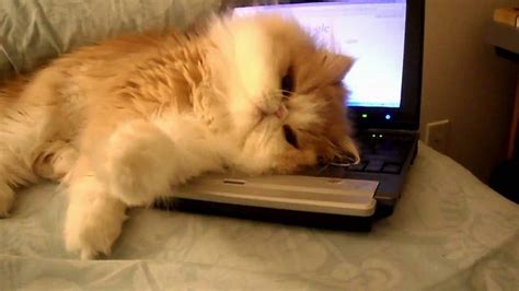 Working With Varargs In Java Varargs In Java Stands For Variable By