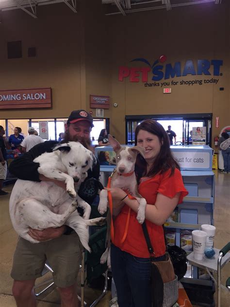 Annabelle Gets Adopted Adoption Pets Fictional Characters